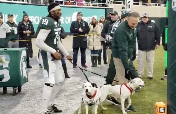 Michigan State's Josh Butler Walks On Senior Day With His 2 Dogs In ...