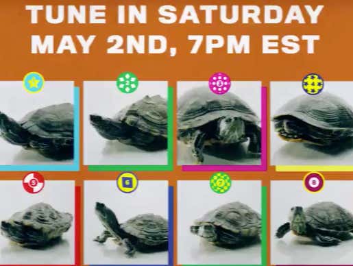 How Is Kentucky Dealing With The Derby Being Postponed On Saturday ...