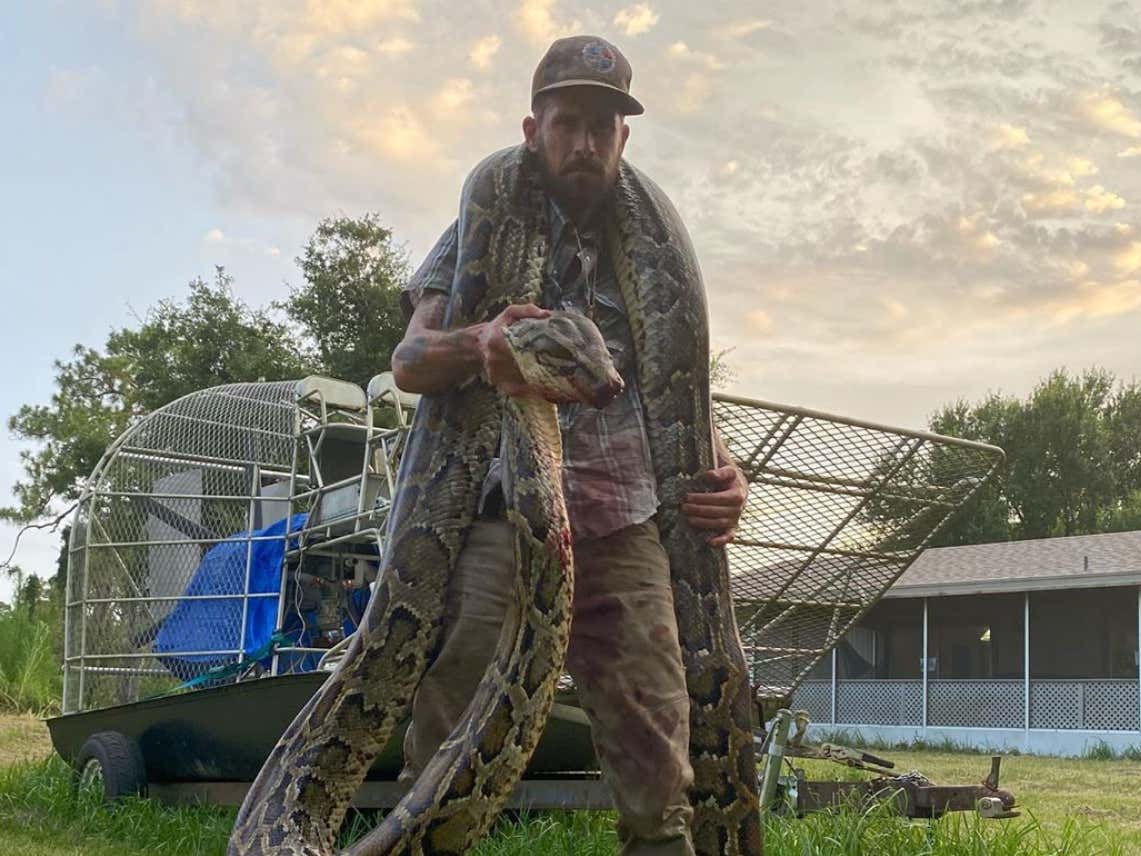 Friend Of The Program Python Cowboy Is Going Big Time After He Caught ...