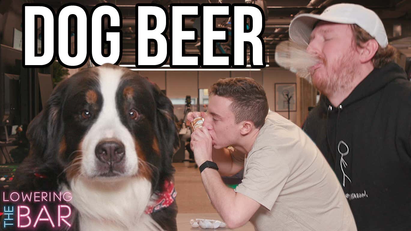 Lowering The Bar: Barstool Drinks Beer Brewed For Dogs | Barstool Sports