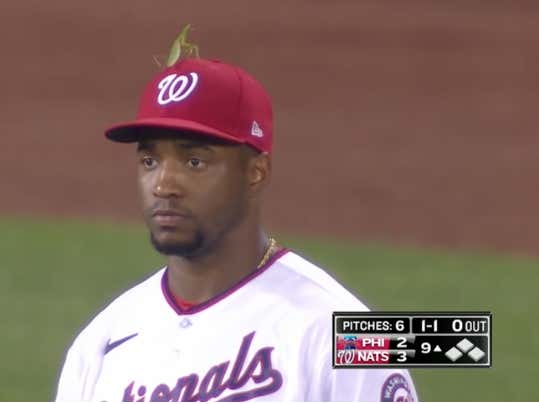 Rally Mantis | Blogs & Videos | Barstool Sports