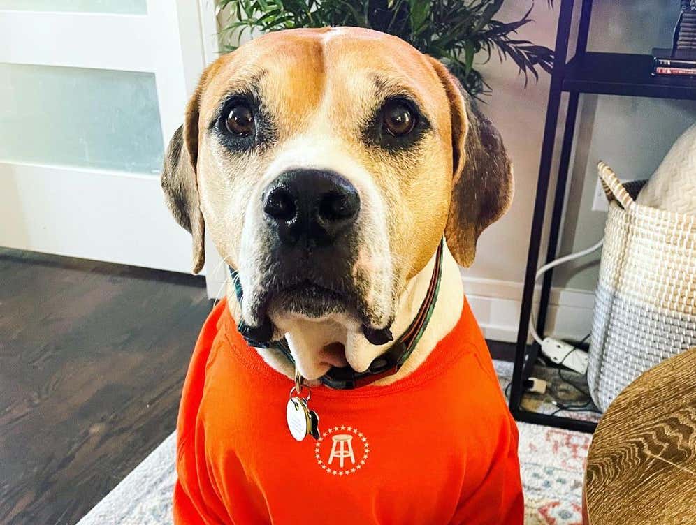 Barstool Sports Dogs Of The Week | Barstool Sports