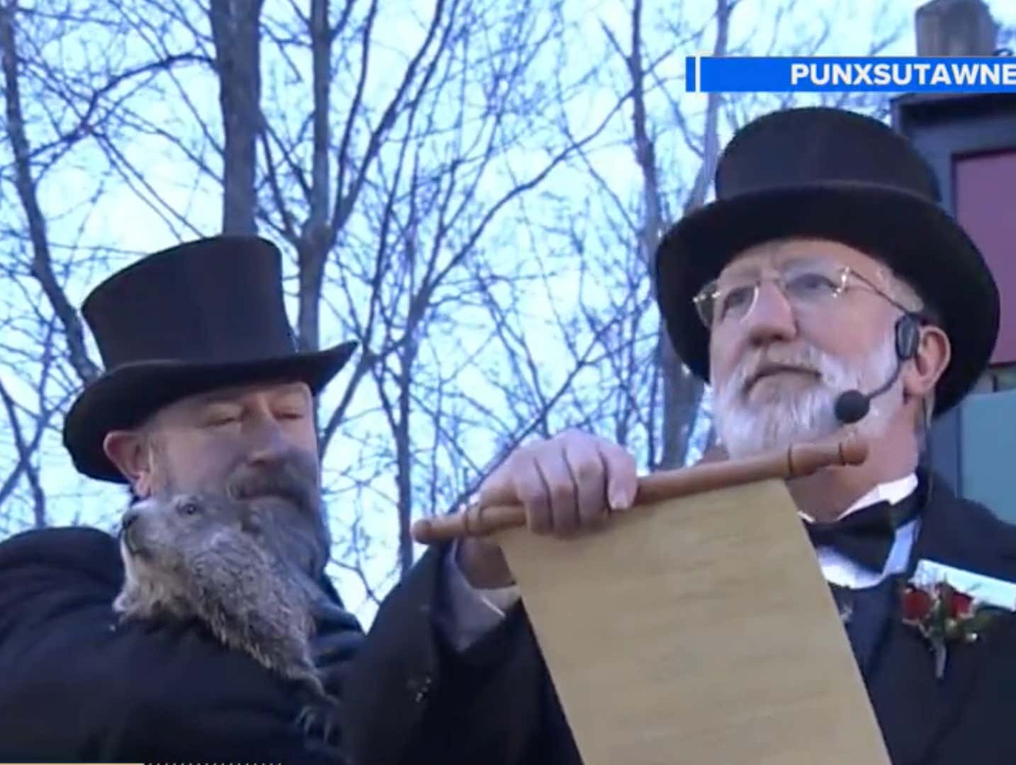 BREAKING: Punxsutawney Phil Scampered Away From His Shadow Like A ...