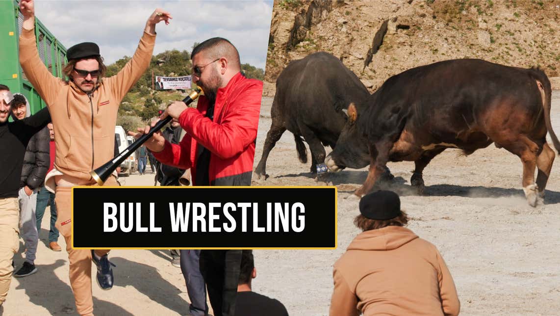 I Was the Guest of Honor at a Bull Wrestling Festival | Barstool Sports