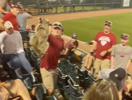 The Arkansas Rally Raccoon May Have Breathed New Life Into the Hogs ...