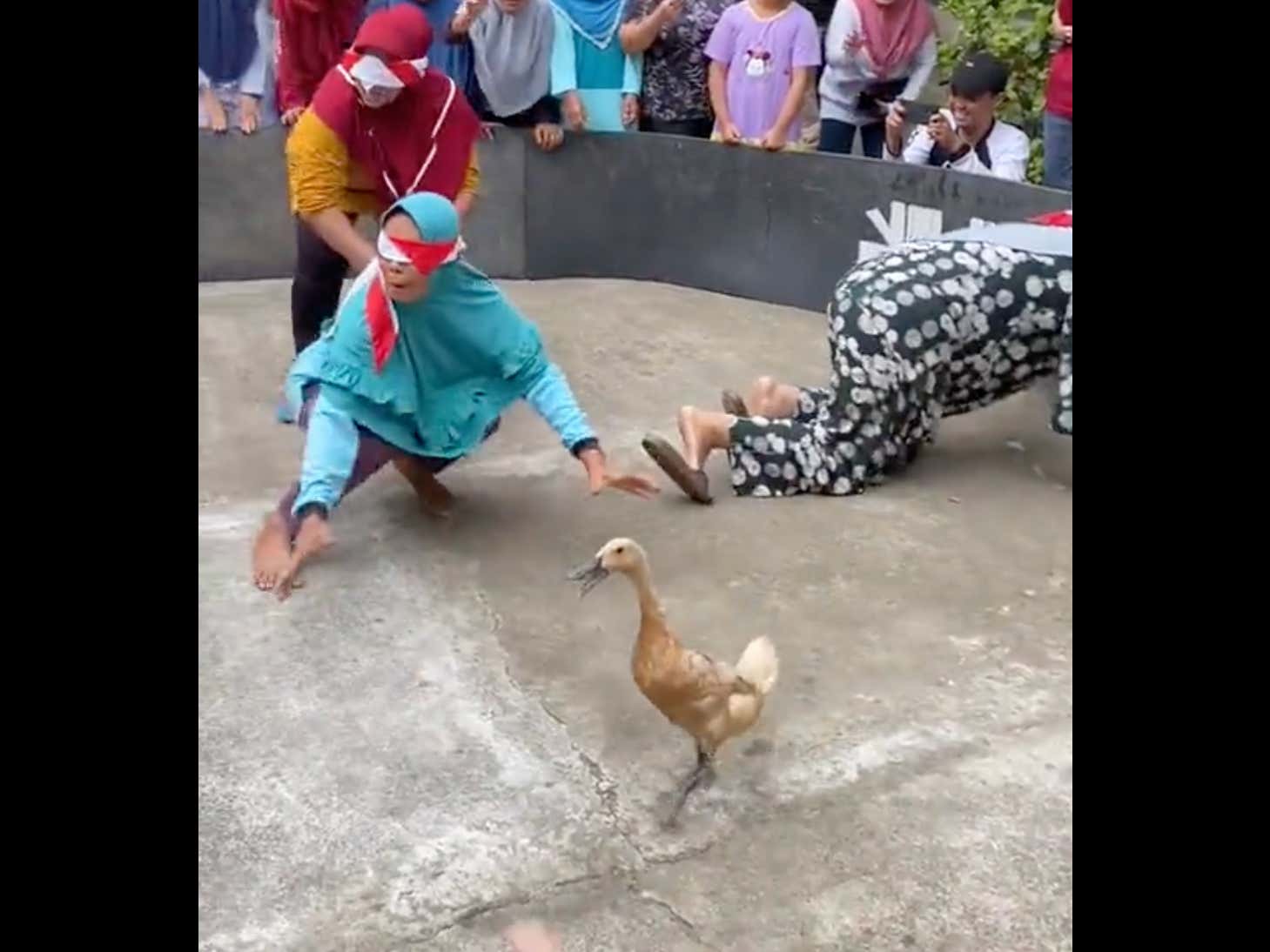 I've Seen All I Need To Declare 'Duck Hide And Seek' The Next Great ...