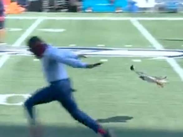 RG3 Just Raced And Beat A Hawk On Live TV (And Then Joked VERY ...