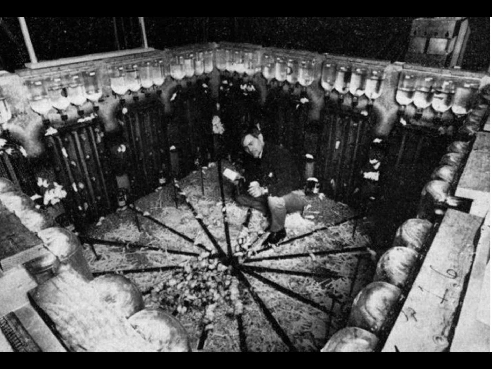 Watch This When You're High - The Mouse Utopia Experiments | Barstool ...