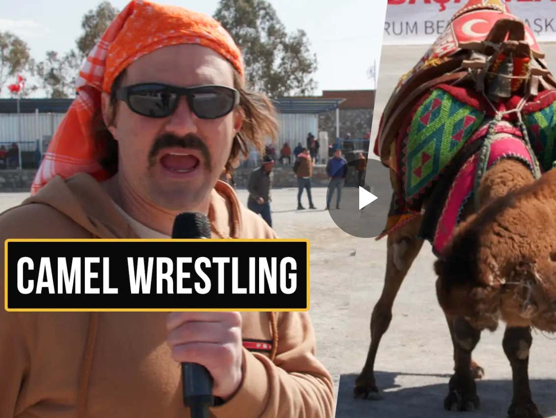 Best Of 2022 - Donnie Does Camel Wrestling | Barstool Sports