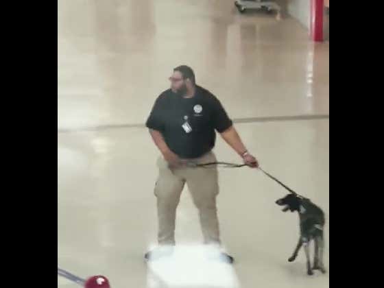 TSA Dog Handler Goes Viral For Being Clueless and Aggressive- Here's ...
