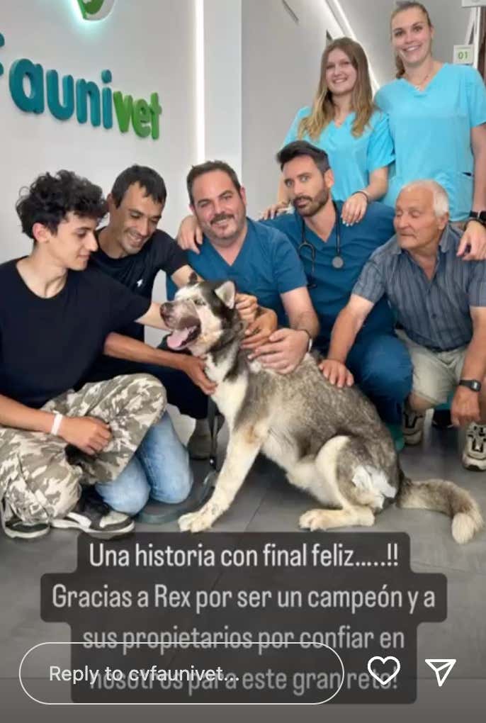 Rex The Husky Just Beat Cancer's ASS | Barstool Sports