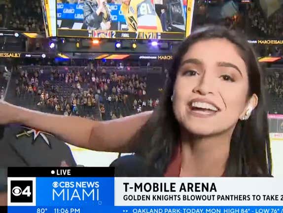 Miami Sports Reporter Delivered An All-Pro Stiff Arm To A Fan Trying To ...