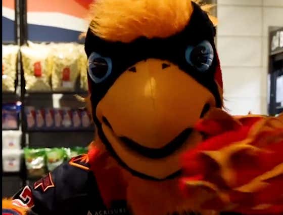Bozo AHL Mascot Wastes A Bunch Of Tasty Chocolate For No Damn Reason ...