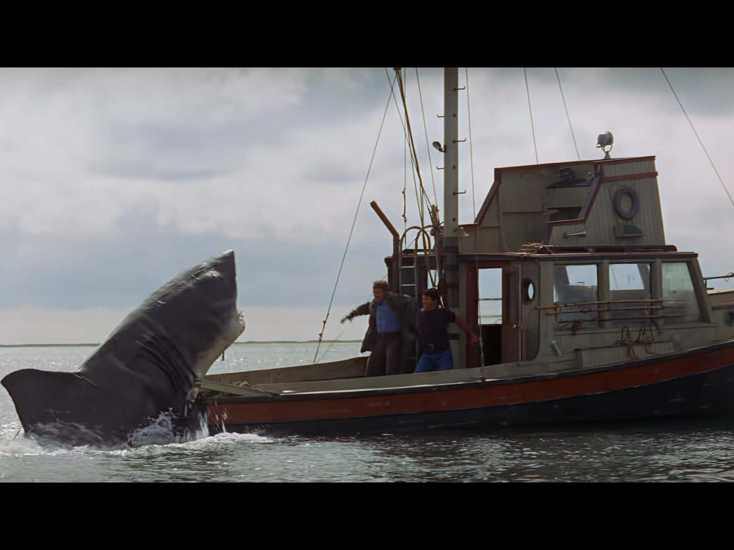 "It Was Like Something Out Of Jaws" - A Netflix Crew's Inflatable Boat ...