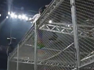 Hell In A Cell Mankind