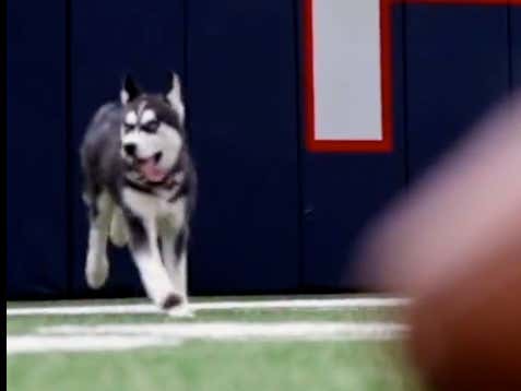 UConn Football Released The Perfect Hype Video And Their Secret Weapon ...