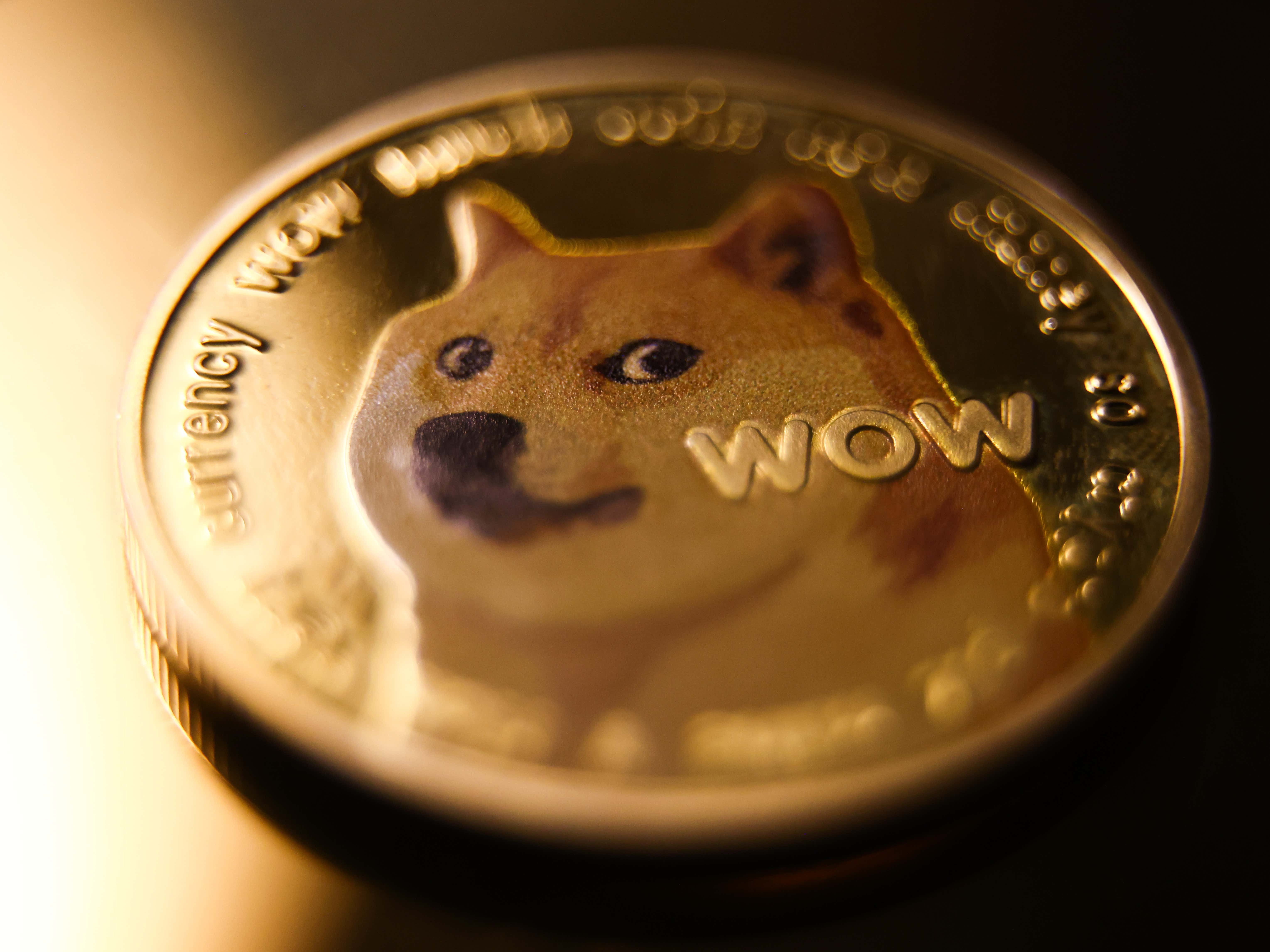 Sad Day, Bad Day: The Doge Meme Dog "Cheems Balltze" Has Passed On To ...