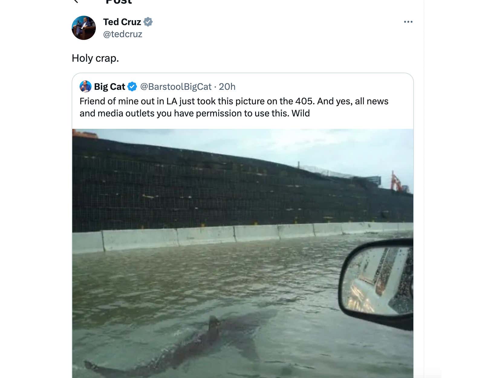 Ted Cruz Ate Big Cat's Trash Tweet About The Horrors of Highway Sharks ...