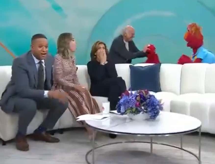 I'm Happy That Larry David Attacked Elmo On The Today Show This Morning ...