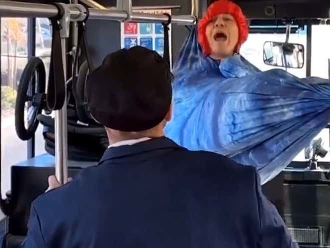A Lunatic Riding The Bus Made Some Very Good Points About Why Hammocks ...