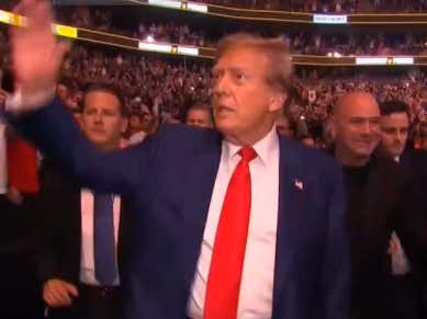 Donald Trump Once Again Walks Out To "American Badass" At UFC 302 ...