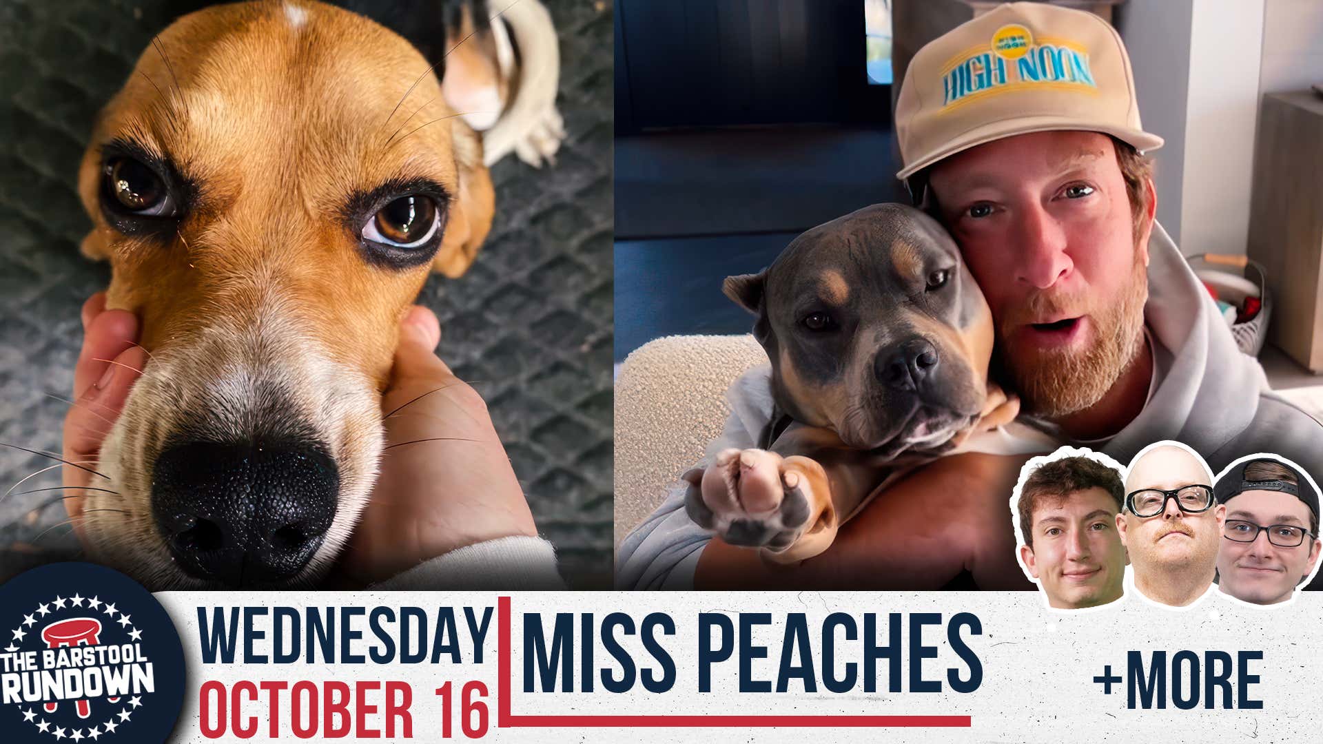 Dave Portnoy Adopts a Brother for Miss Peaches | Barstool Rundown ...