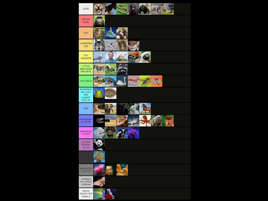 Behold: The Most Correct Animal Tier List The World Has Ever Seen ...
