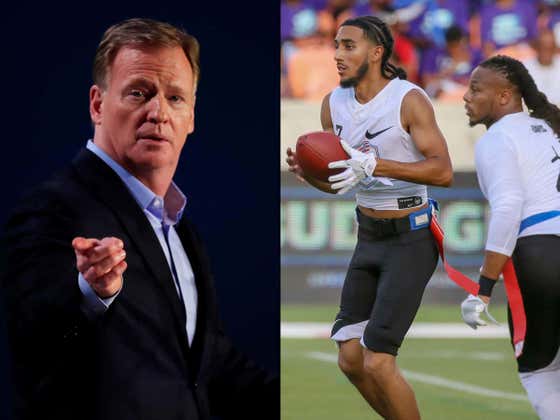 Roger Goodell Is Slowly & Methodically Transforming The NFL Into A Flag ...