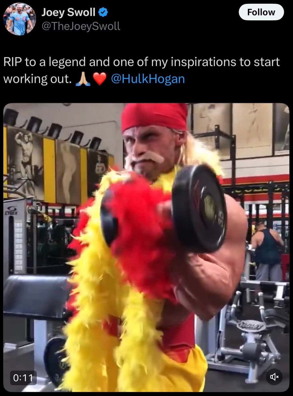 Fitness Influencer Joey Swoll's Retirement From The Internet (Because ...