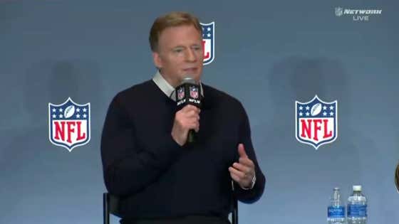 Roger Goodell Said "I Am Amazed At How Good Our Officials Are" When ...