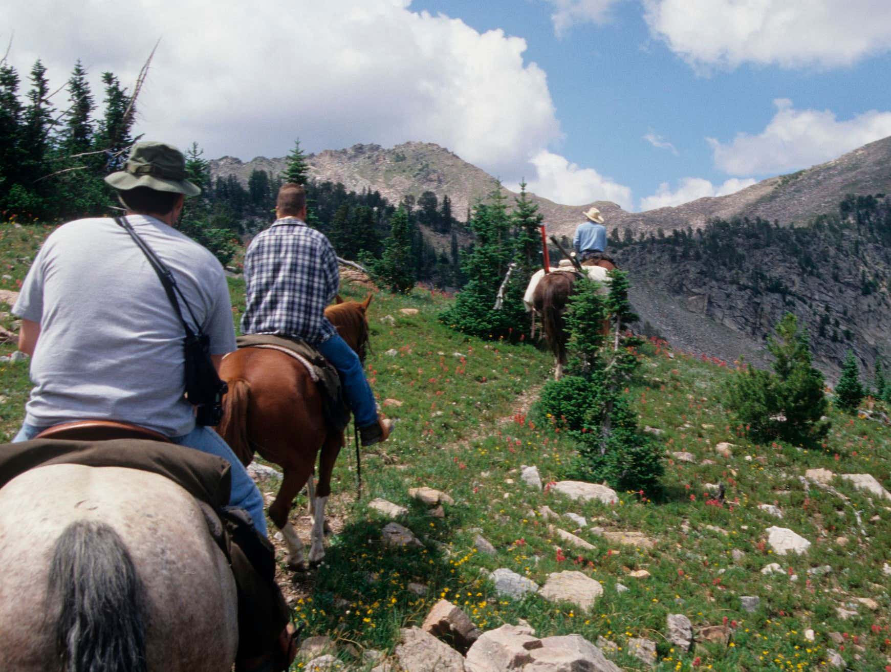 Rupert Murdoch Just Bought A Real Life Yellowstone Ranch In Montana For ...