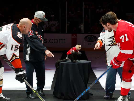 5 Words That Can Save The NHL: More Rally Monkey Puck Drops | Barstool ...