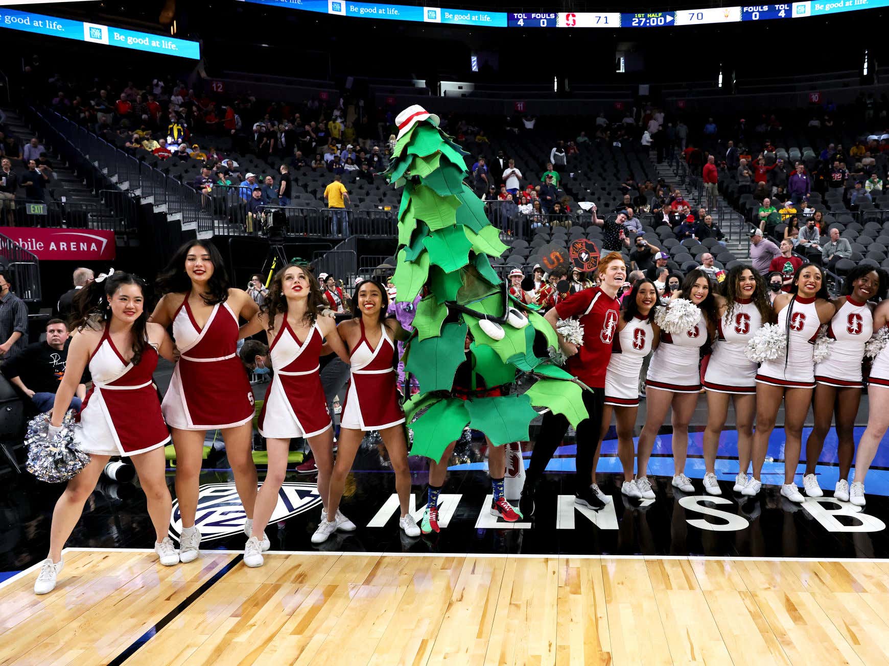 FREE THE TREE - Pathetic, 2-Ply Soft Stanford Suspended Their Iconic ...