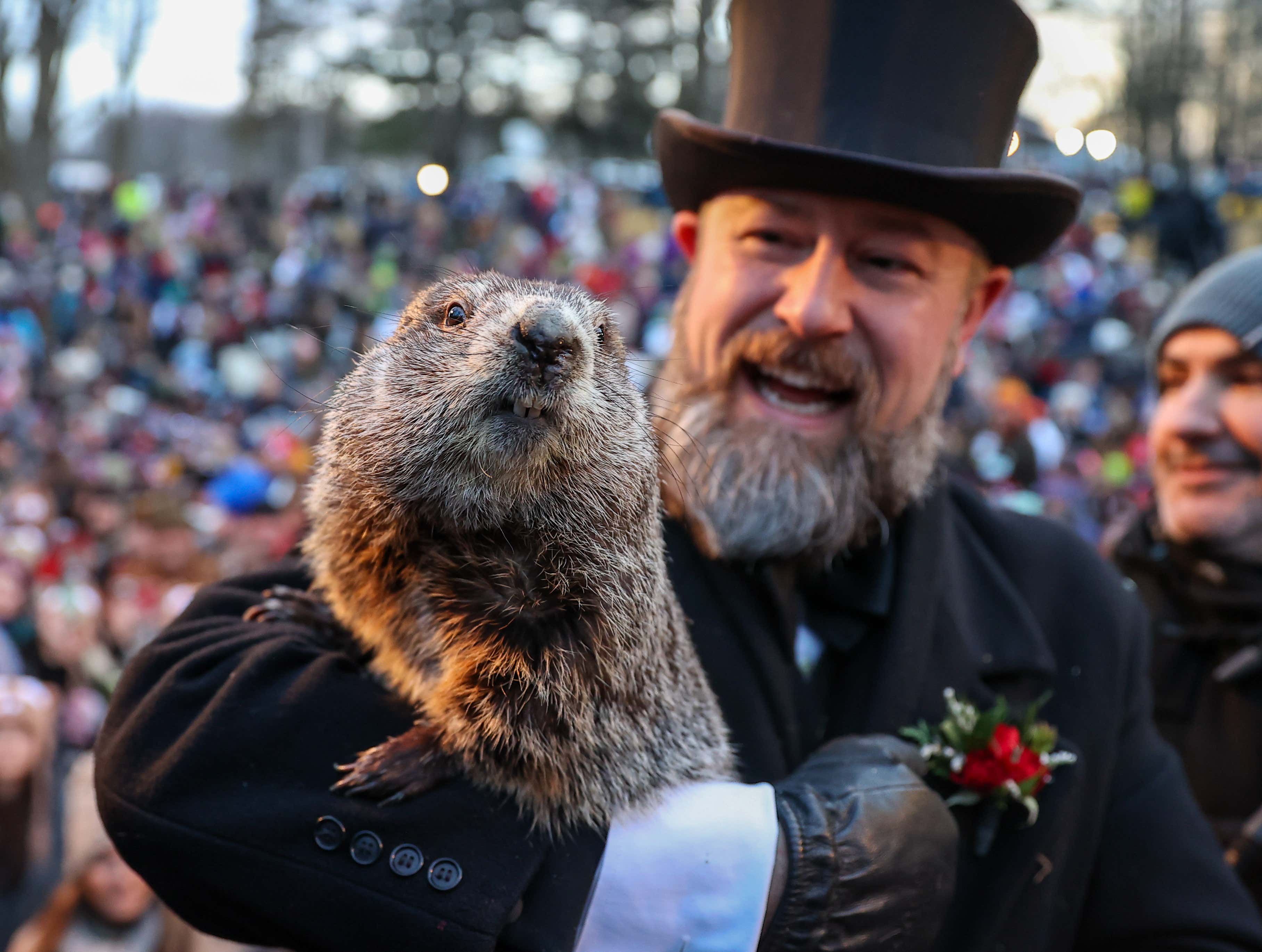 We're Celebrating The Wrong Groundhog, Punxsutawney Phil is ...