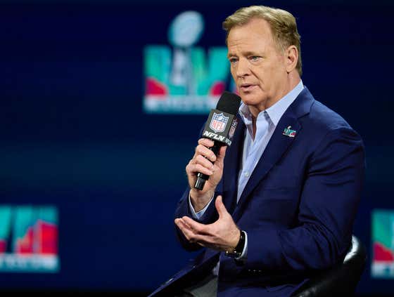 Never Forget When Roger Goodell, Greasy Lying Bastard, Said That ...