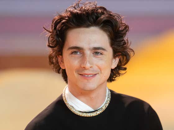 Timothee Chalamet Already Has Oscar Buzz After The Trailer for 'A ...