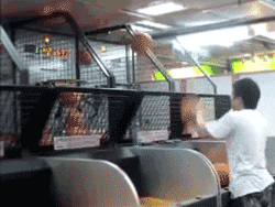 Olympic Week inside Stool Streams Stadium Continues at 2 PM Today With ...