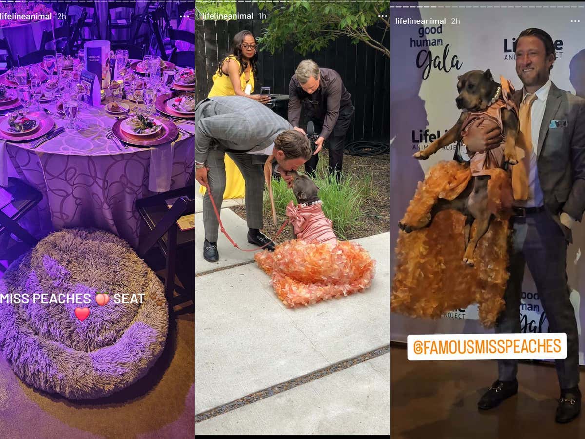 The Famous Miss Peaches STUNS In Her Signature "Peach" On The LifeLine ...