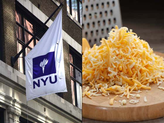 NYU Law Student Spent $10,000 For A Two-Week Rehab To Overcome Her ...