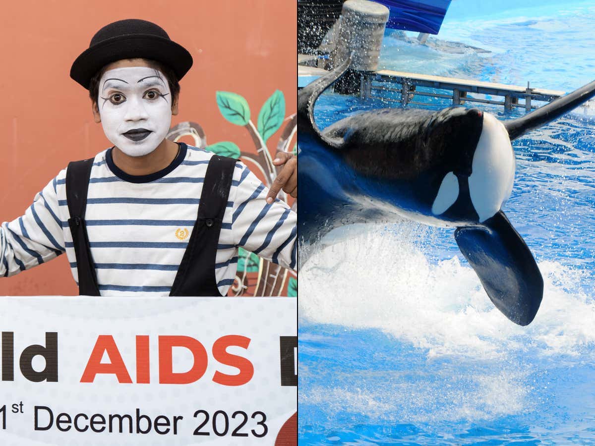 "The Worst Thing Sea World Has Ever Done", Lynn The Mime Has Been ...