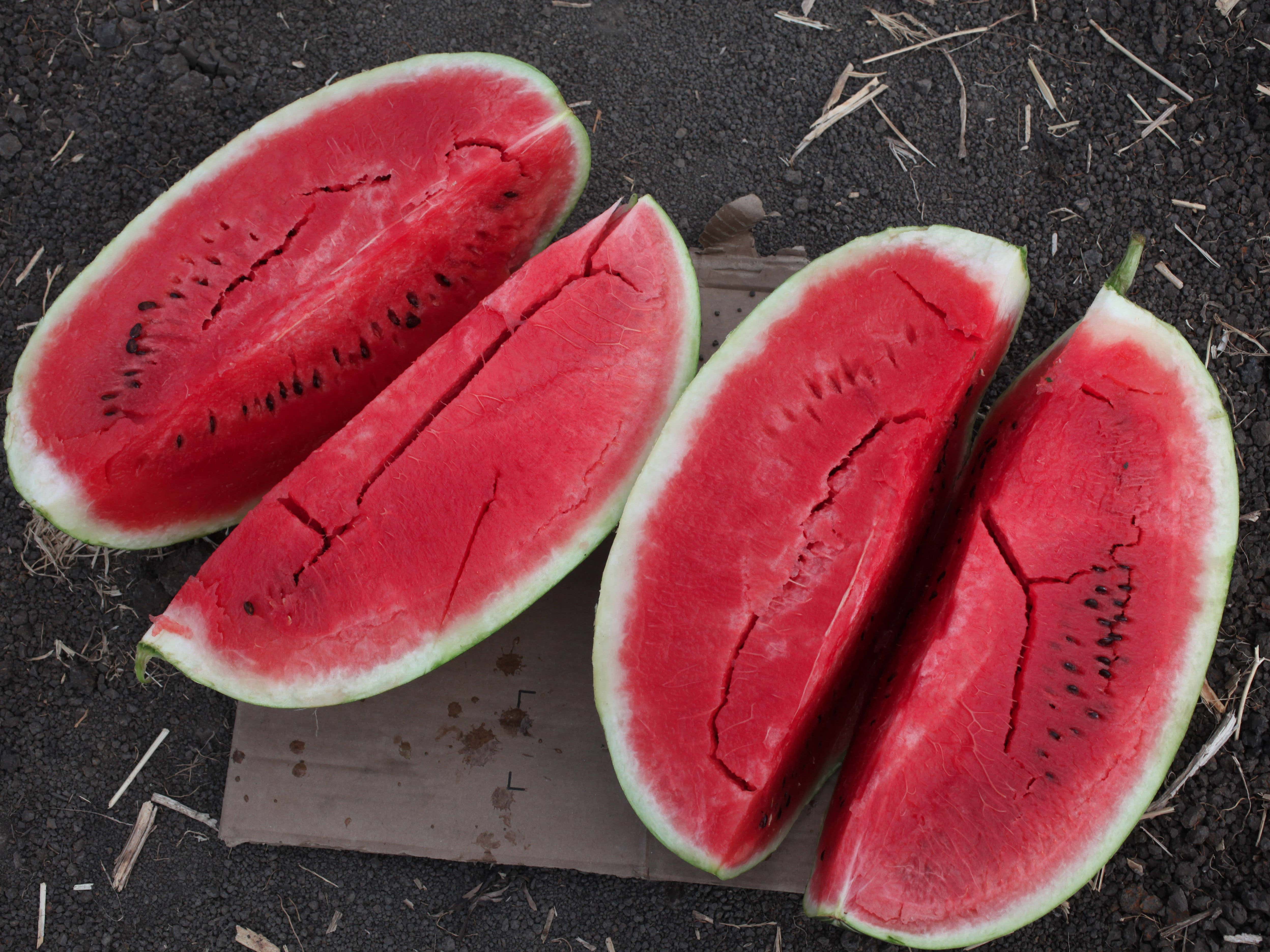 Methamphetamine Disguised As Watermelons Seized At US Mexico Border ...