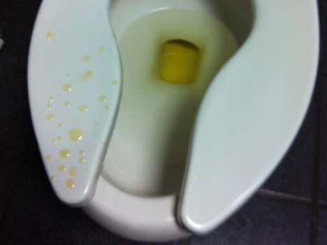 Golden Stool | Blogs & Videos | Barstool Sports