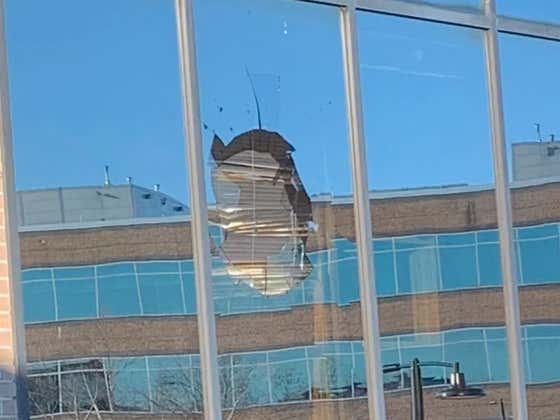 Vulture | Blogs & Videos | Barstool Sports