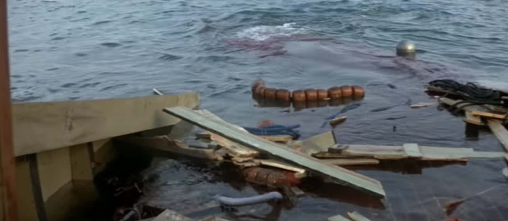 This Great White Shark Just Tried To Re-Enact The Captain Quint Scene ...