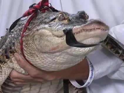 Chance The Snapper Cost Chicago Over $30,000 | Barstool Sports